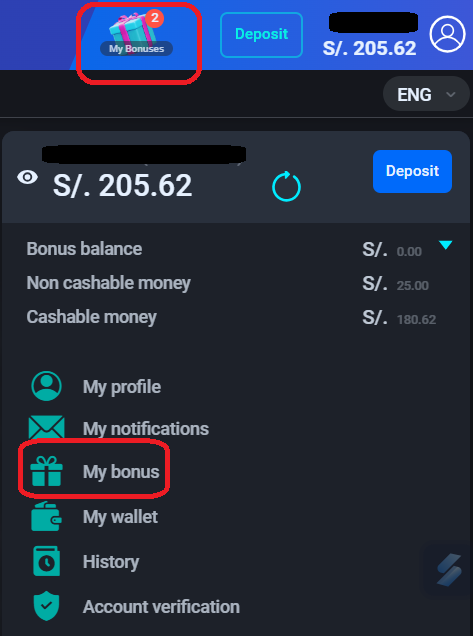 How to check your bonuses? – Palms Blog